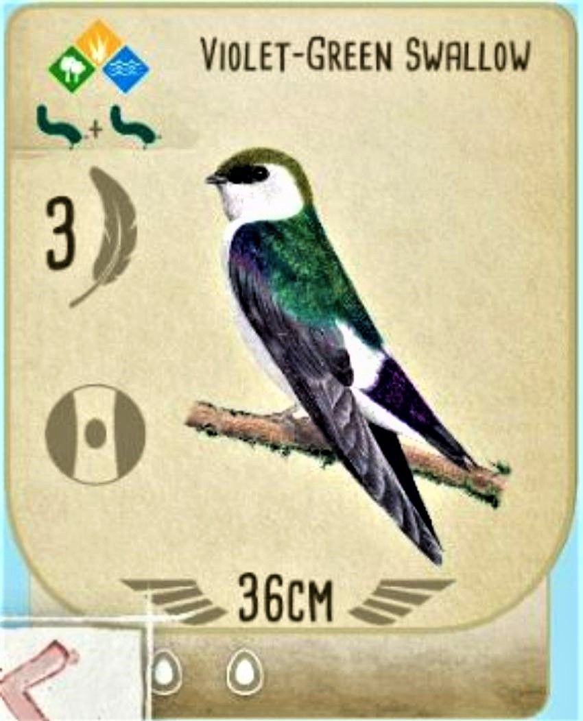 10 Prettiest Cards In Wingspan