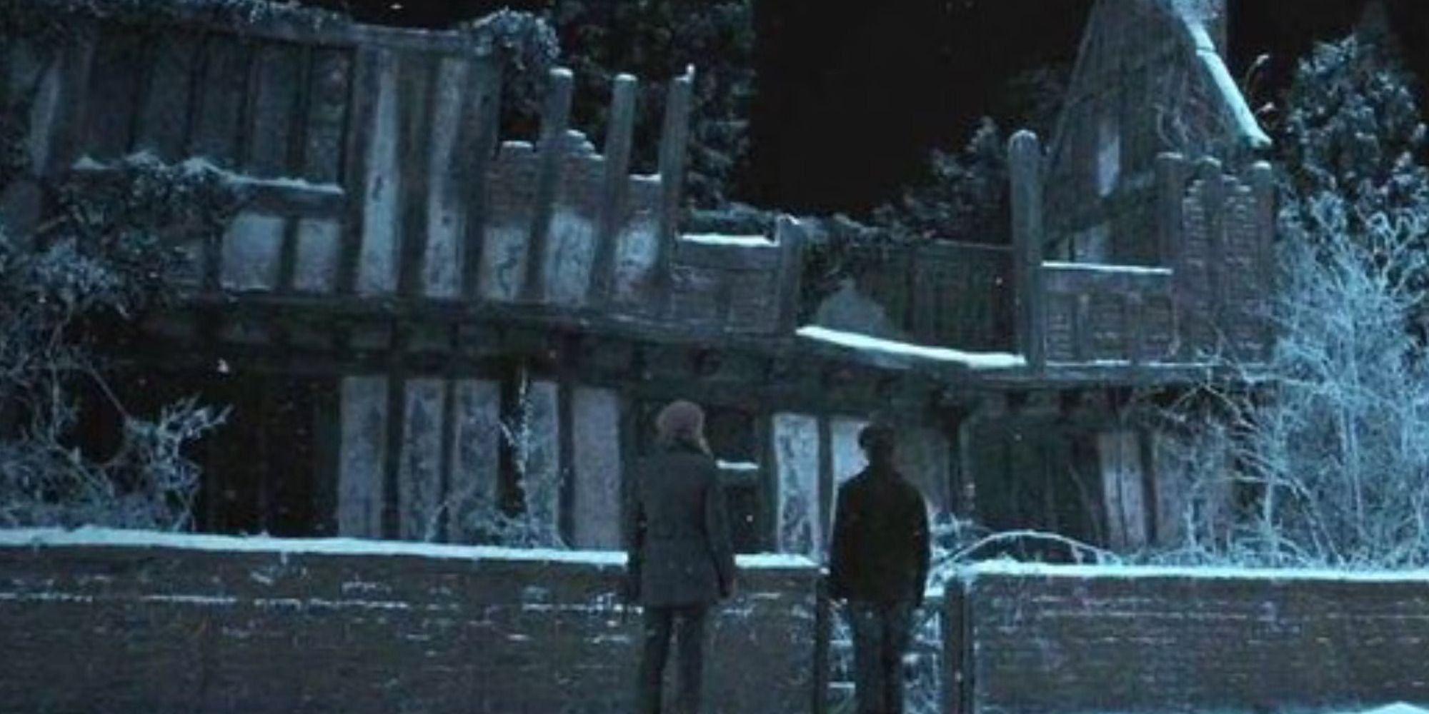 Harry Potter: How Nagini Became Bathilda Bagshot