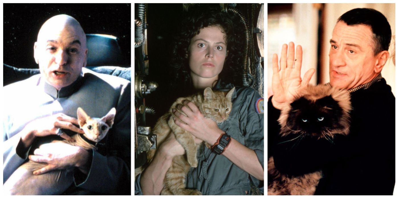 10 Best Movie Cats, Ranked