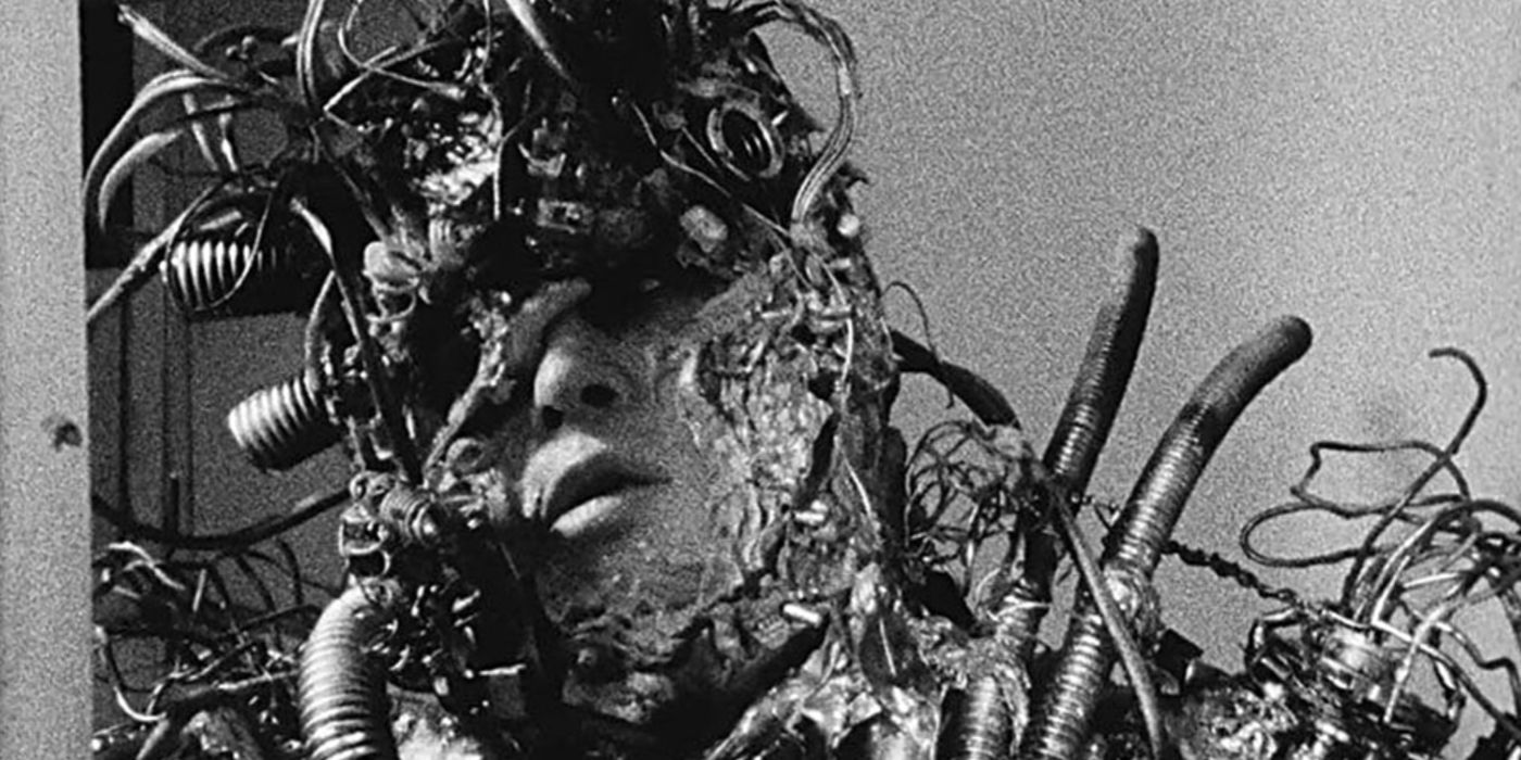 10 Most Bizarre Cult Classics