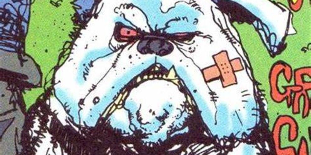 10 Scariest Pets In DC Comics