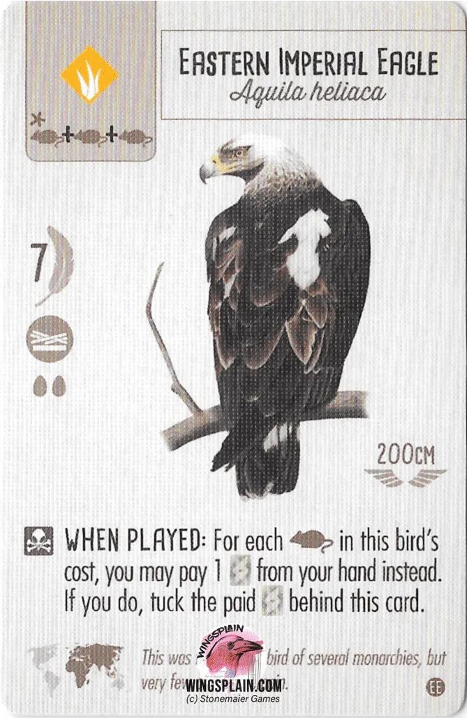 10 Most Powerful Cards In Wingspan