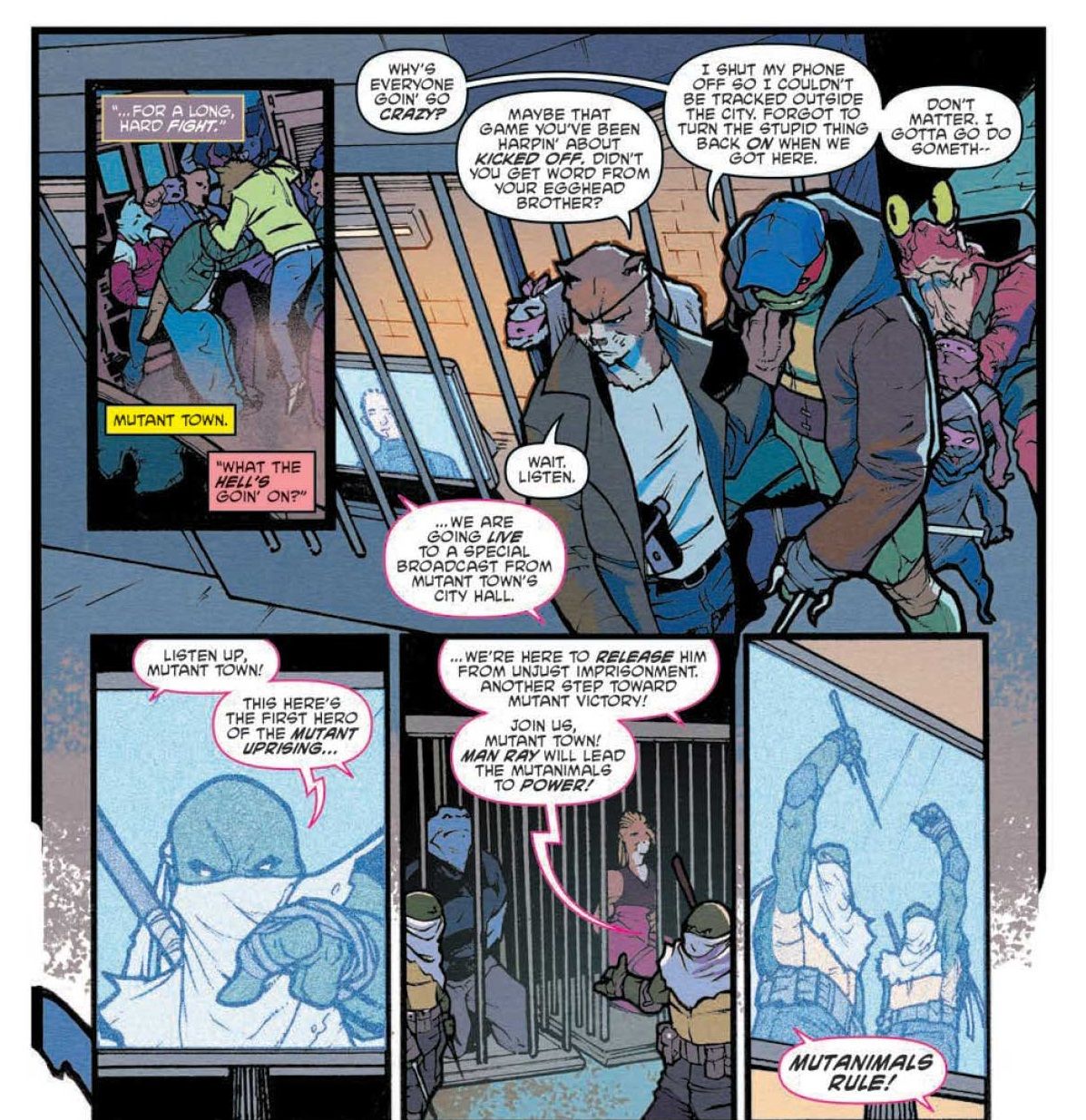 REVIEW: IDW Publishing's Teenage Mutant Ninja Turtles: The Armageddon ...