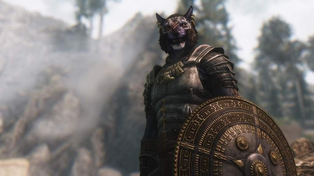 Skyrim: Why Todd Howard Loves This Follower Mod