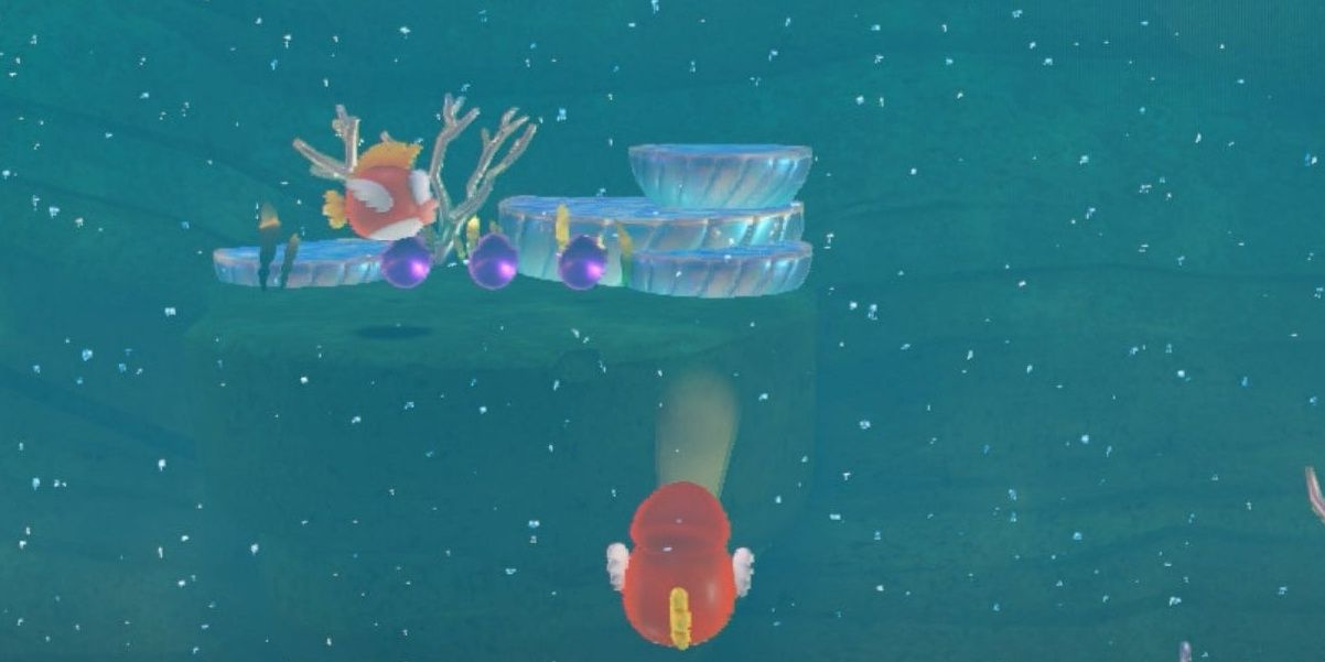 Super Mario Odyssey: How To Find Every Purple Coin In Seaside Kingdom