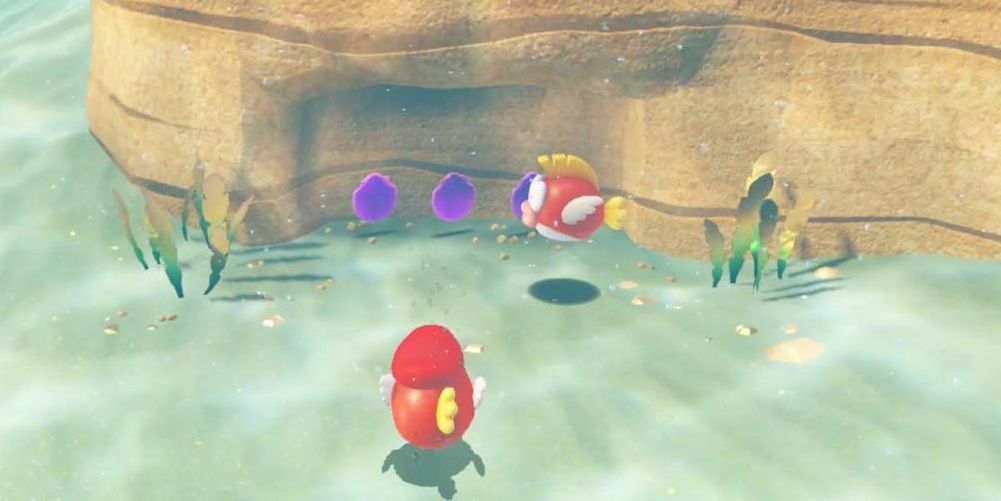 Super Mario Odyssey: How To Find Every Purple Coin In Seaside Kingdom