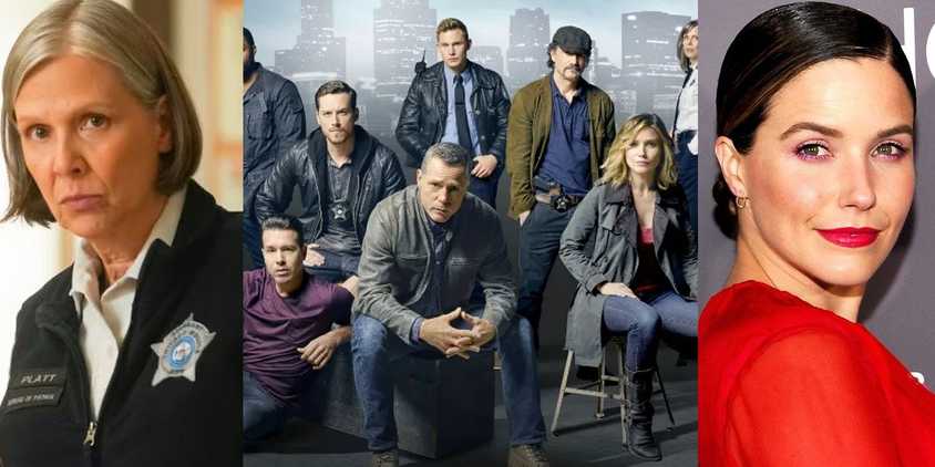 The Saddest Chicago PD Character Exits, Ranked
