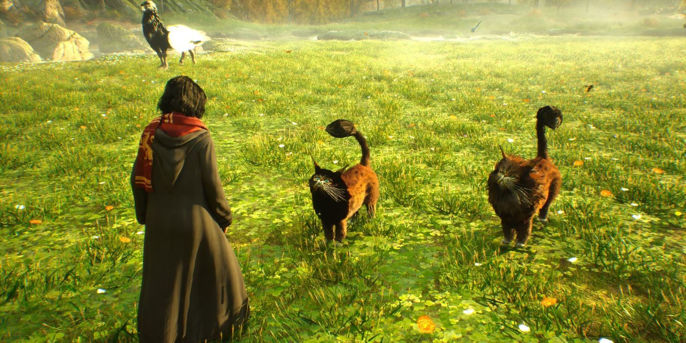 Every Beast In Hogwarts Legacy & What They Give You