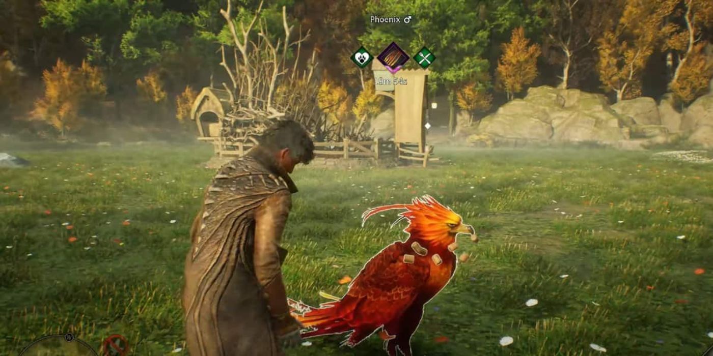 Every Beast In Hogwarts Legacy & What They Give You