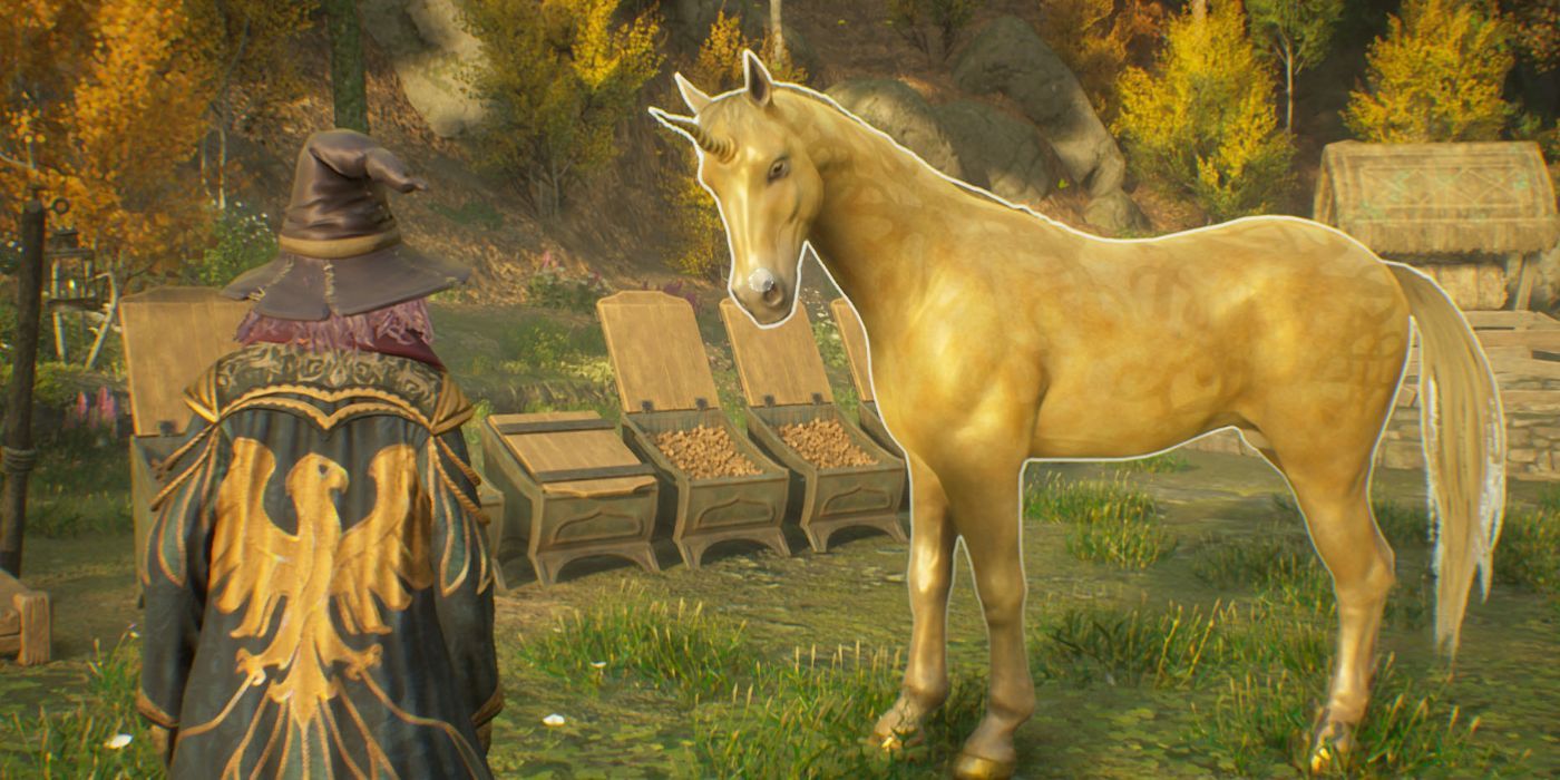 10 Best Magical Beasts In Hogwarts Legacy, Ranked