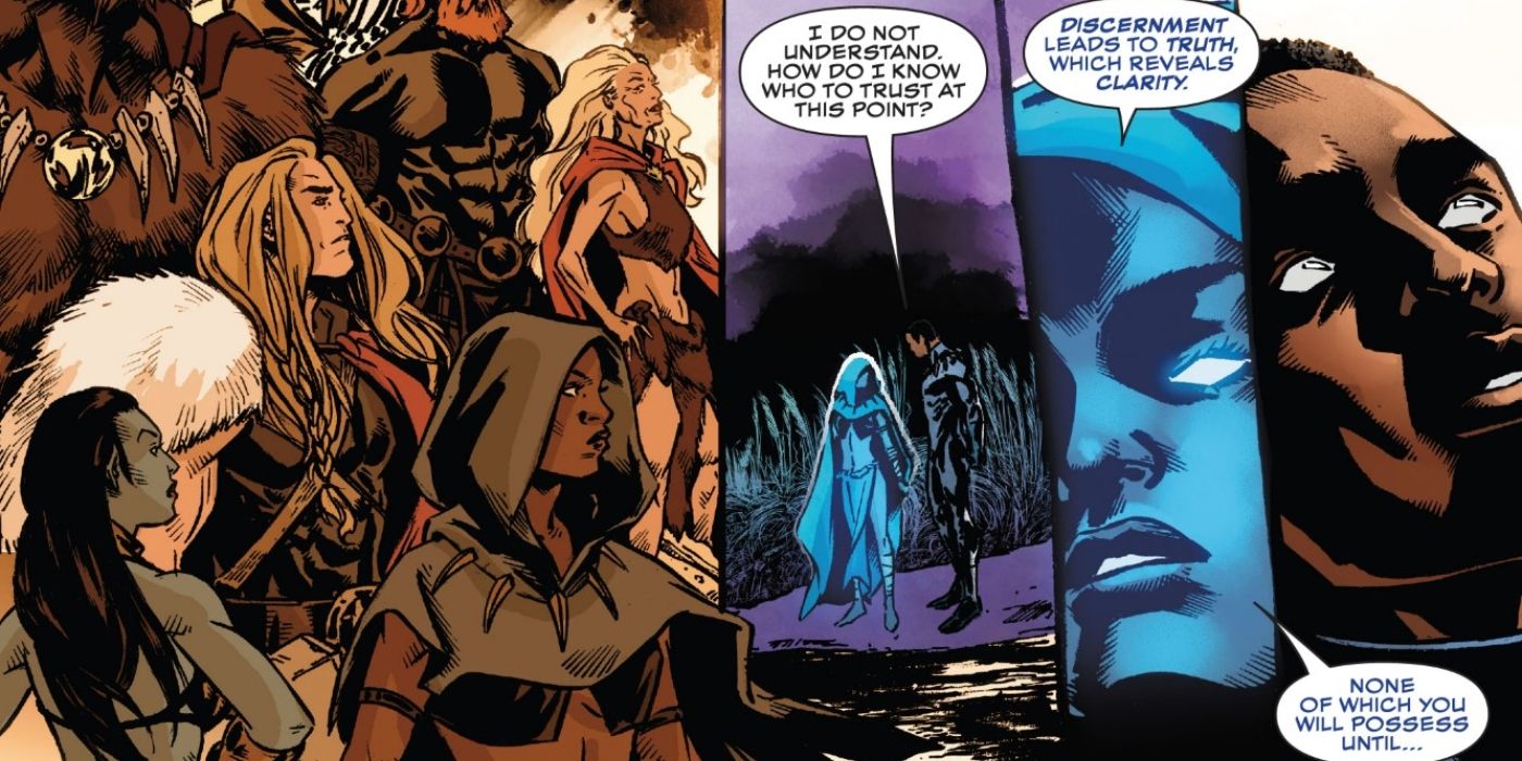 Black Panther Has Literally Become His Worst Enemy