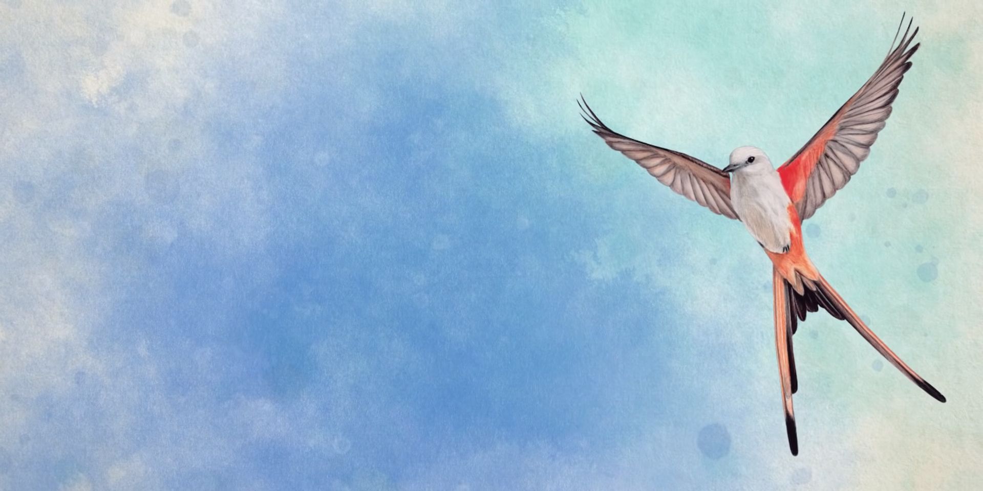 Wingspan: How to Play Solo