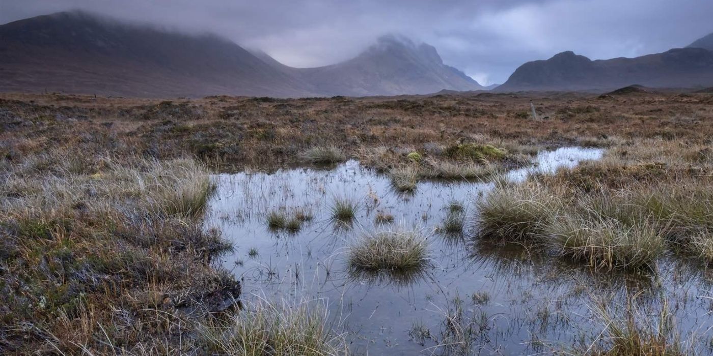 Carnival Row Should Have Included Other Mythical Creatures