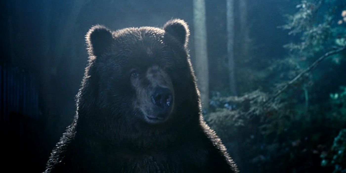 10 Scary Movies Featuring Killer Bears