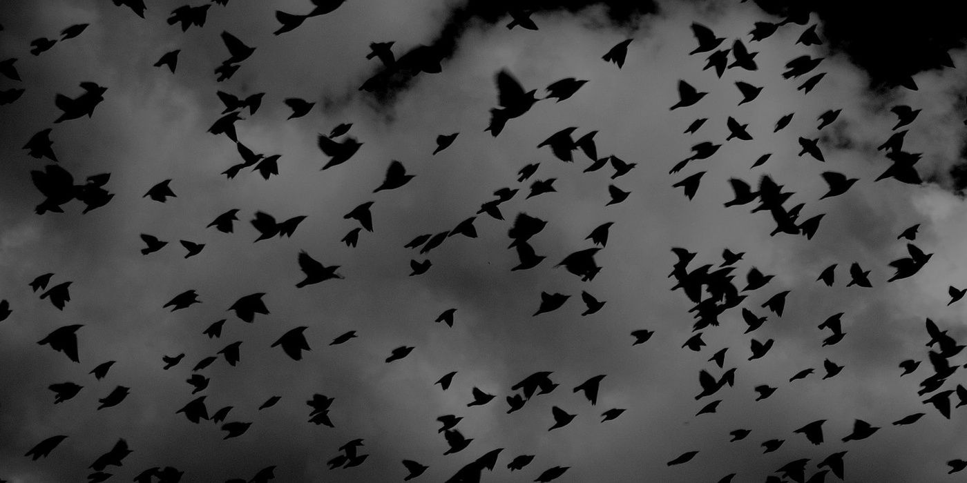 Carnival Row Should Have Included Other Mythical Creatures