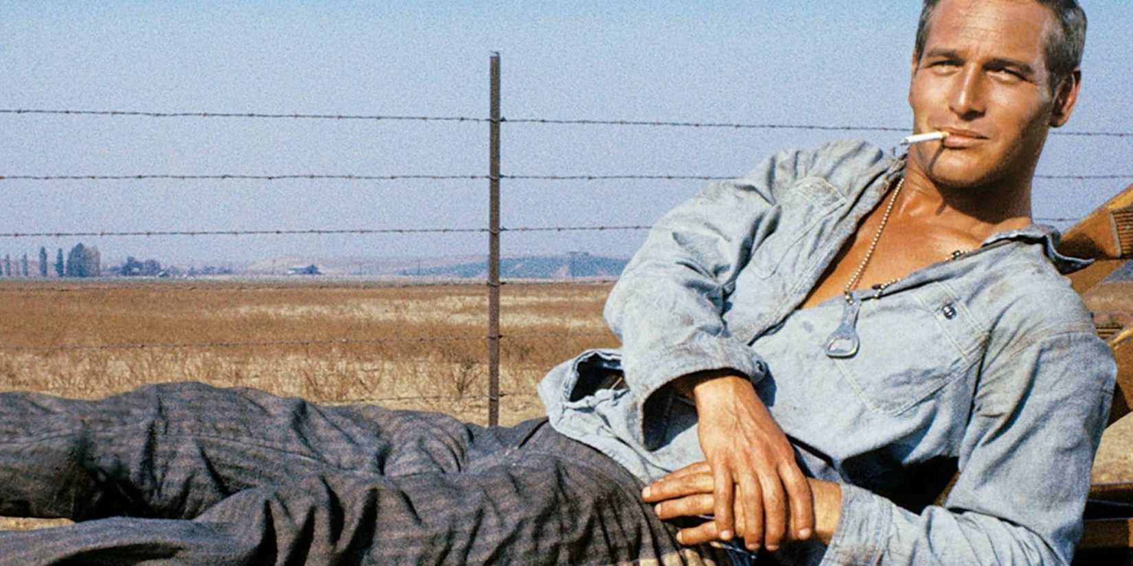 15 Best Prison Movies of All Time