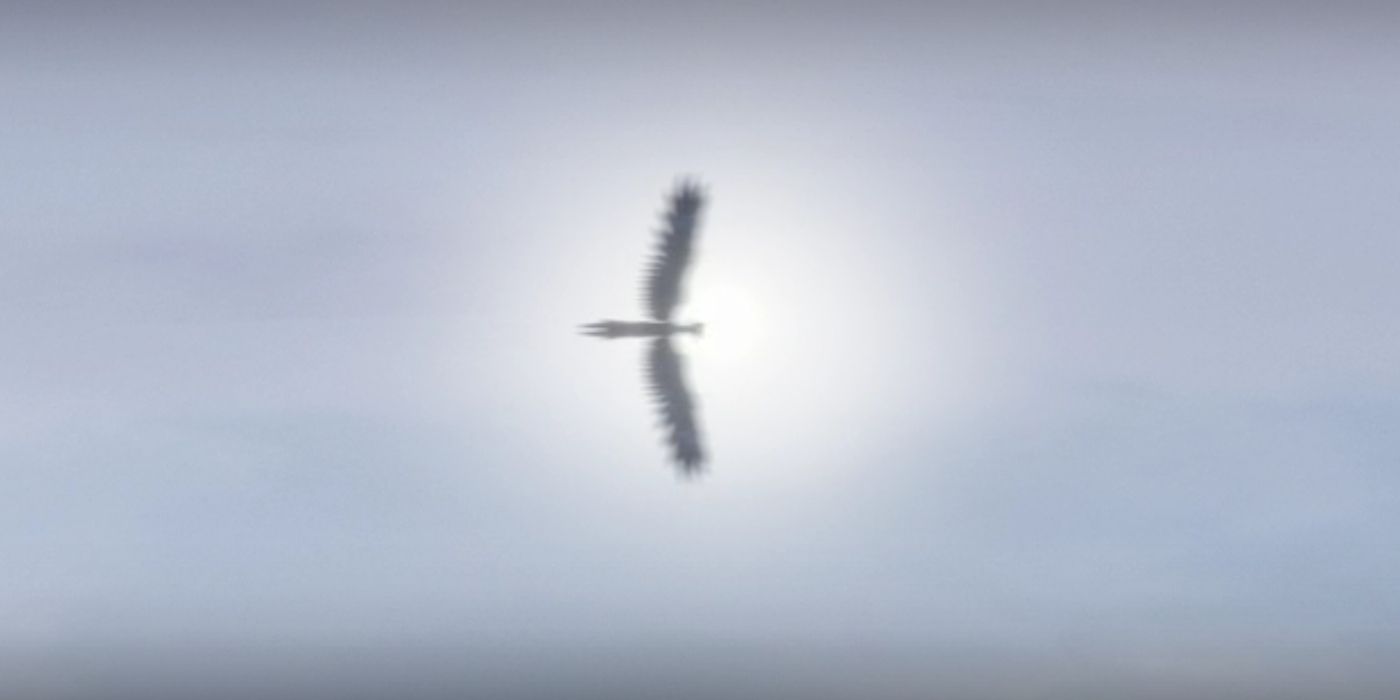 The Bad Batch: Crosshair and the Ice Vulture, Explained
