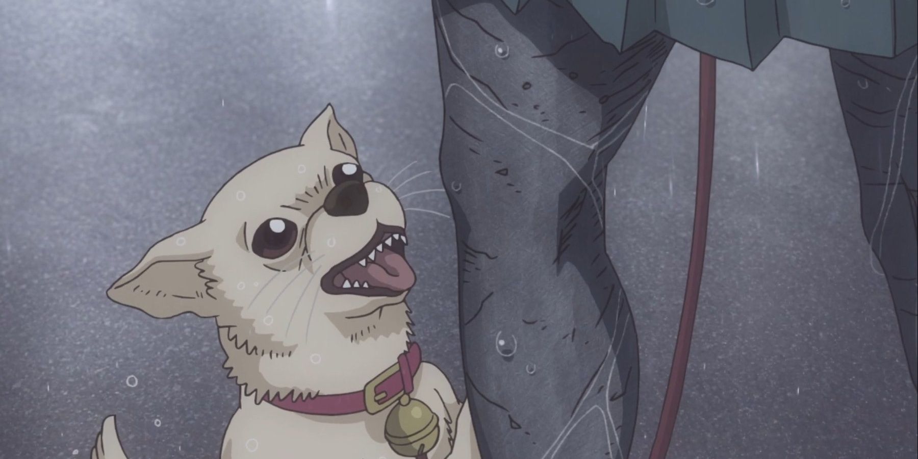 Dr. Stone Reminds Fans of the Pet and Animal Tragedy of the Apocalypse