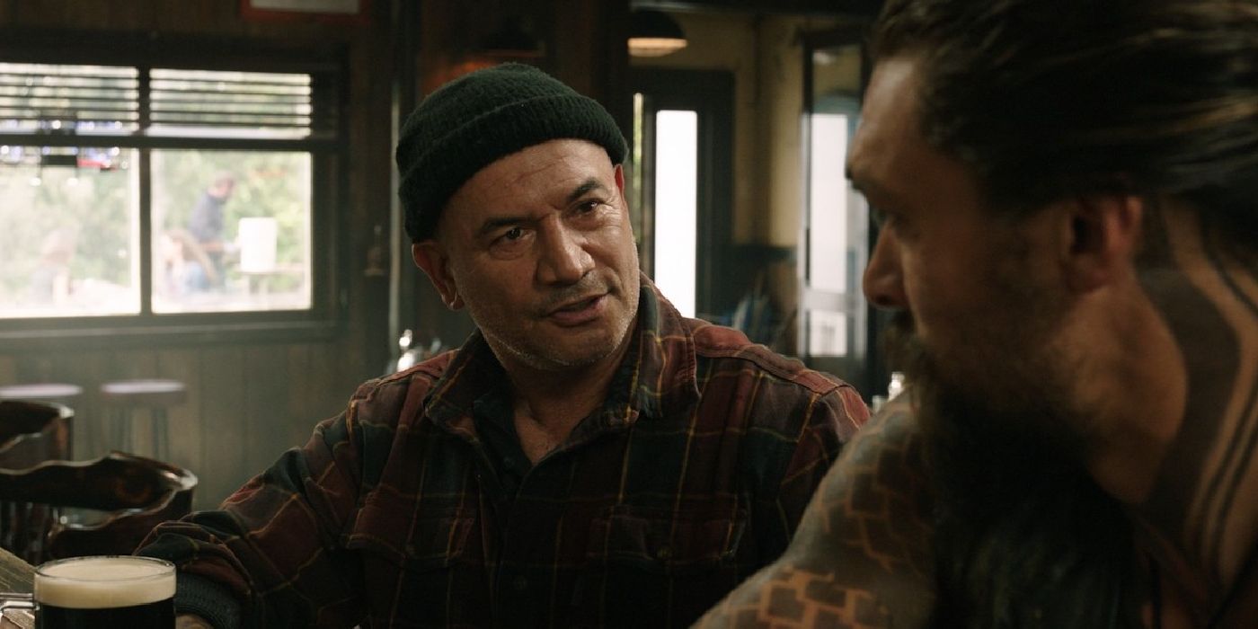 The Best Cameos In The Flash, Ranked