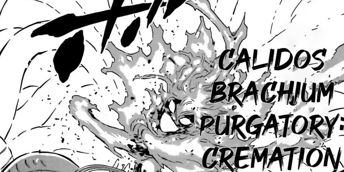 Black Clover: Facts Only True Fans Know About Mereoleona Vermillion