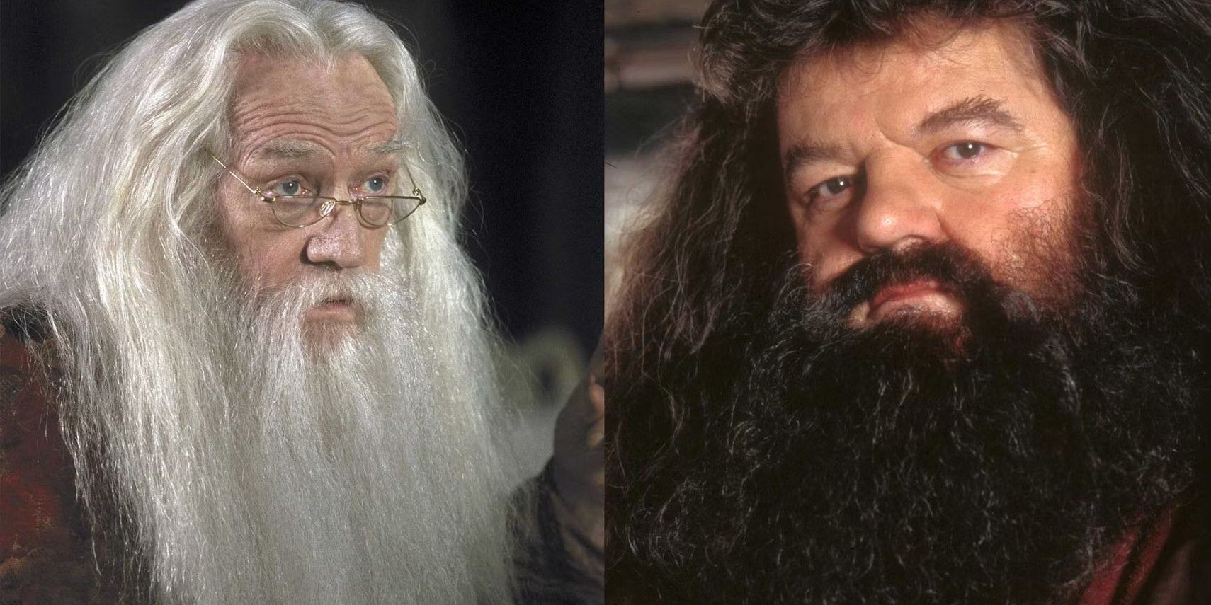 10 Most Beloved Harry Potter Relationships That Were Not Romantic