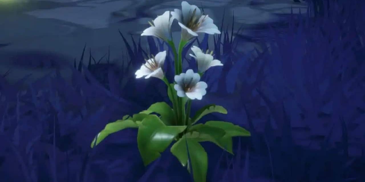 Disney Dreamlight Valley Flower Guide