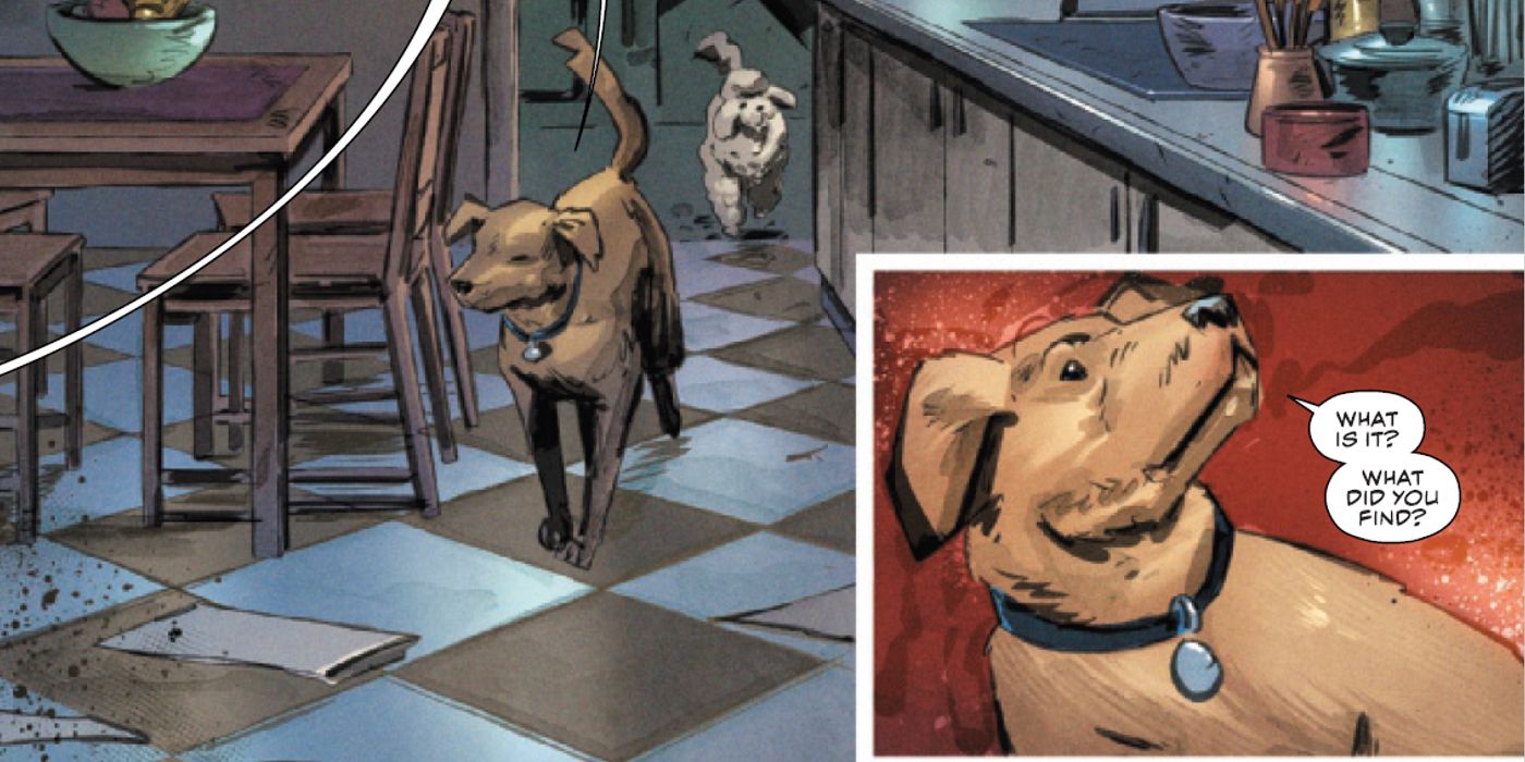 Every Member of Marvel Unleashed's Pet Avengers (& Where You've Seen Them Before)