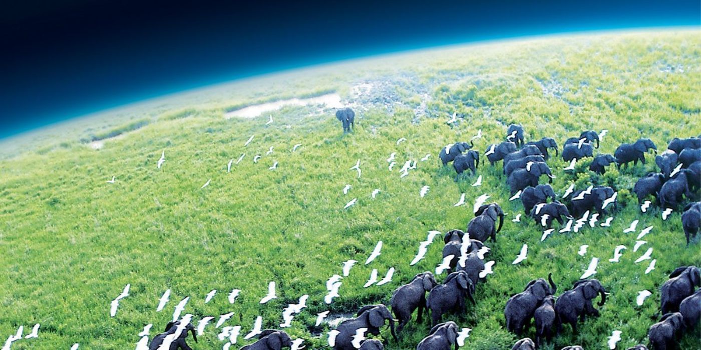 10 Best Climate Stories in Film and TV