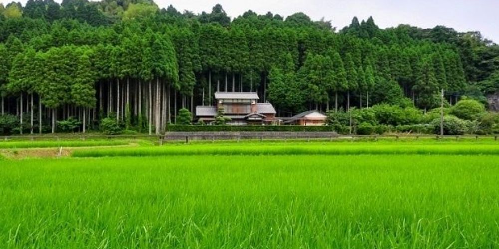 Locations That Inspired Studio Ghibli Films