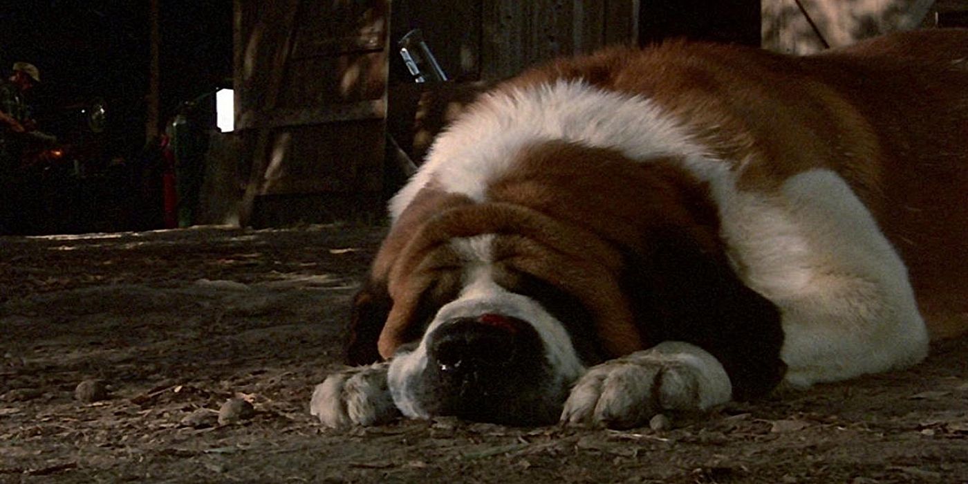 10 Cutest Horror Movie Monsters