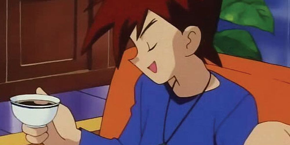 Ash Vs Gary Anime