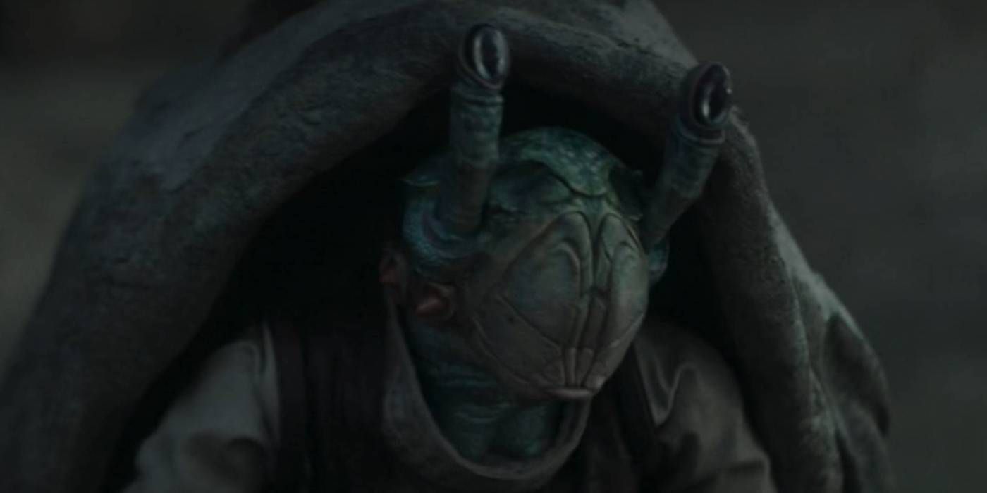 How Ahsoka’s Noti Stack Up Against Other Cute Star Wars Creatures