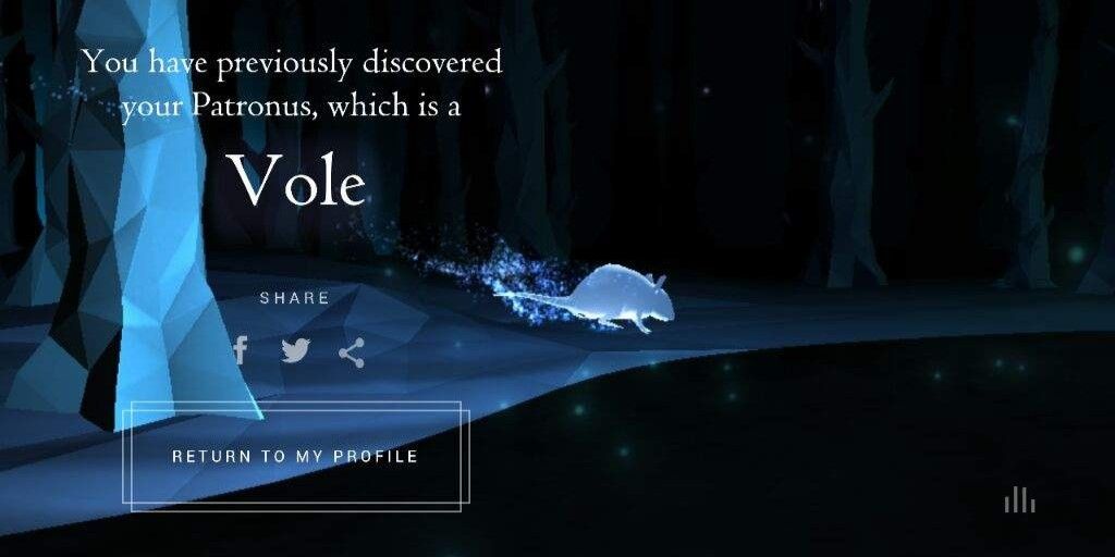 10 Weirdest Patronus Forms in Harry Potter, Ranked