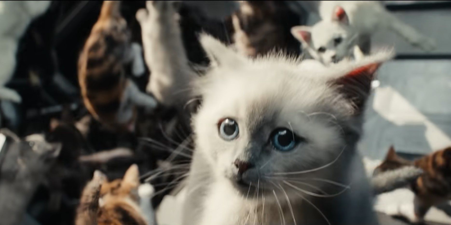 MCU: Biggest Surprises In The Marvels