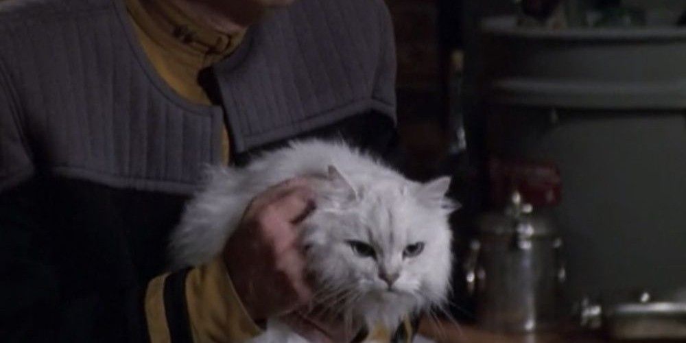 Star Trek's Famous Pets, Ranked