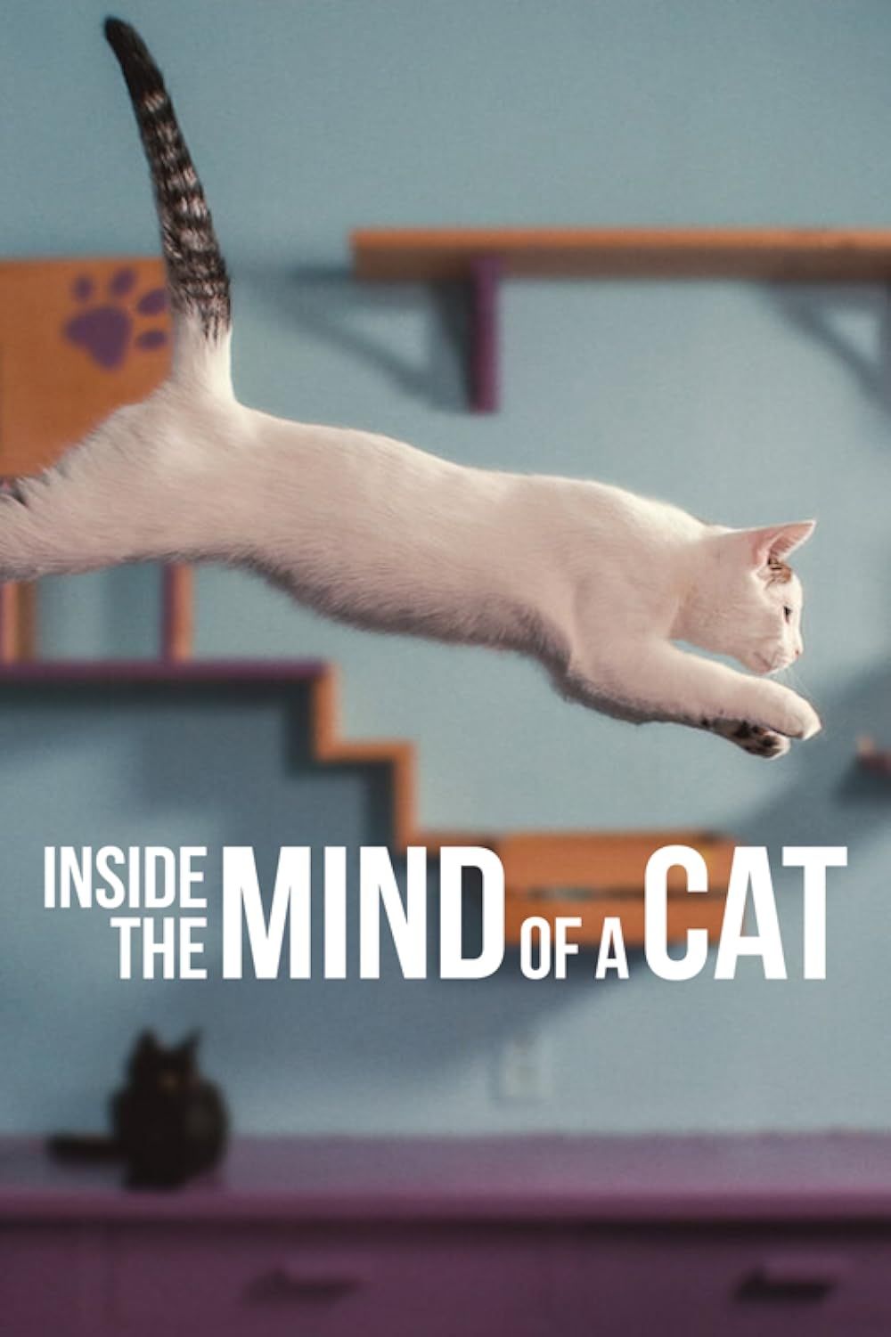The Best New Netflix Documentaries to Stream Now