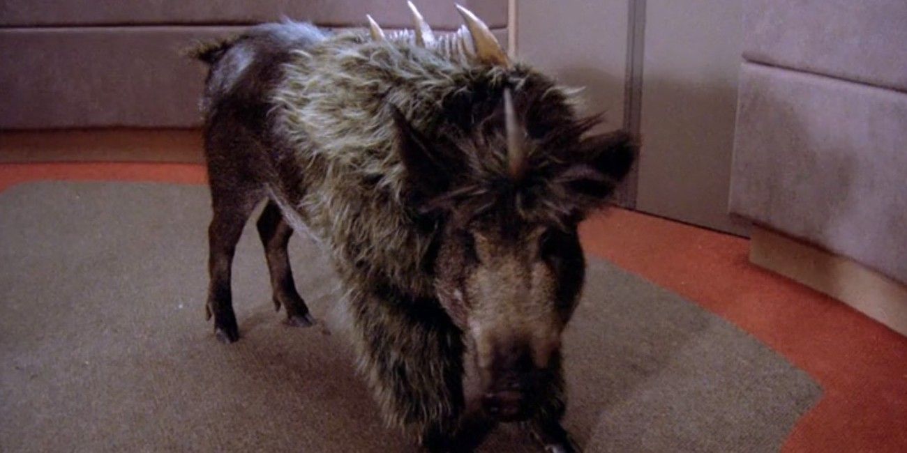 Star Trek Animals Animal Crossing Players Customize Characters To Look