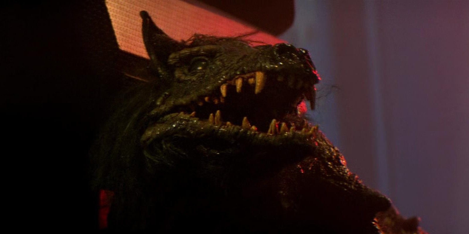 Star Trek's Famous Pets, Ranked