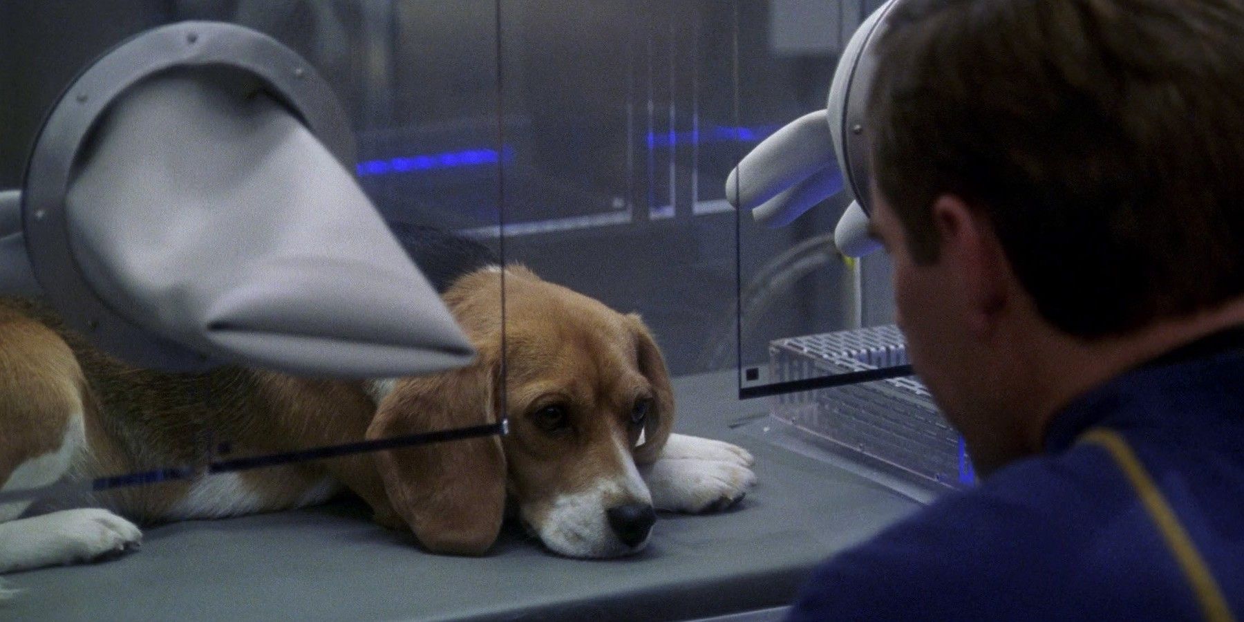 Star Trek's Famous Pets, Ranked