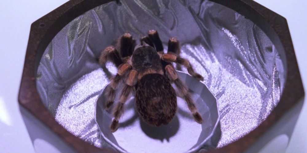 Star Trek's Famous Pets, Ranked