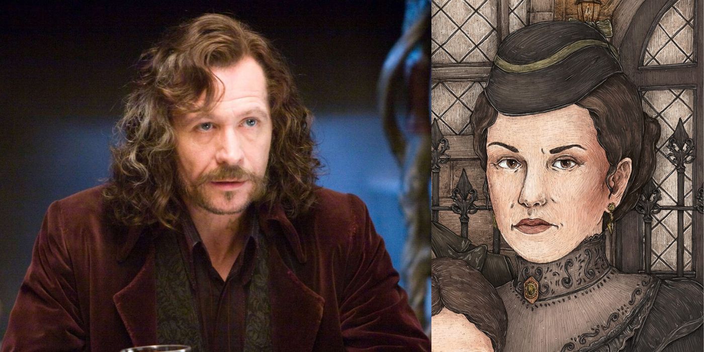 Harry Potter: A Complete Black Family Tree