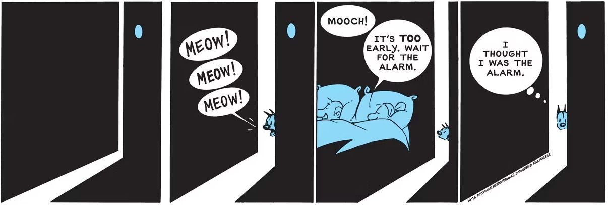 Hilarious MUTTS Comic Strips That Capture What Fans Love About the Strip