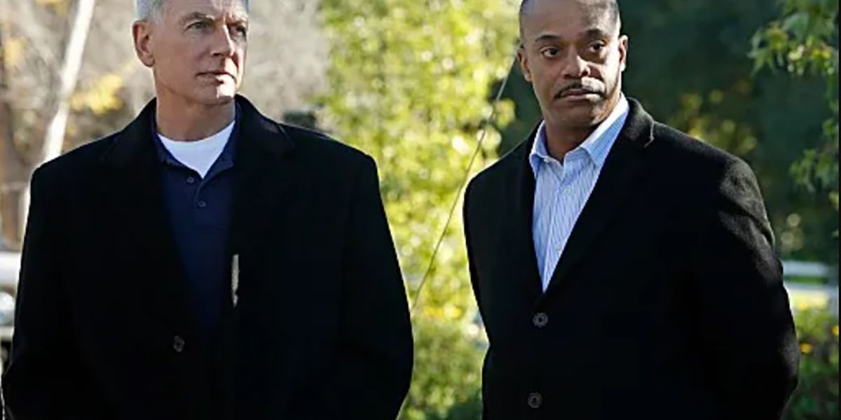 10 Best NCIS Seasons, Ranked