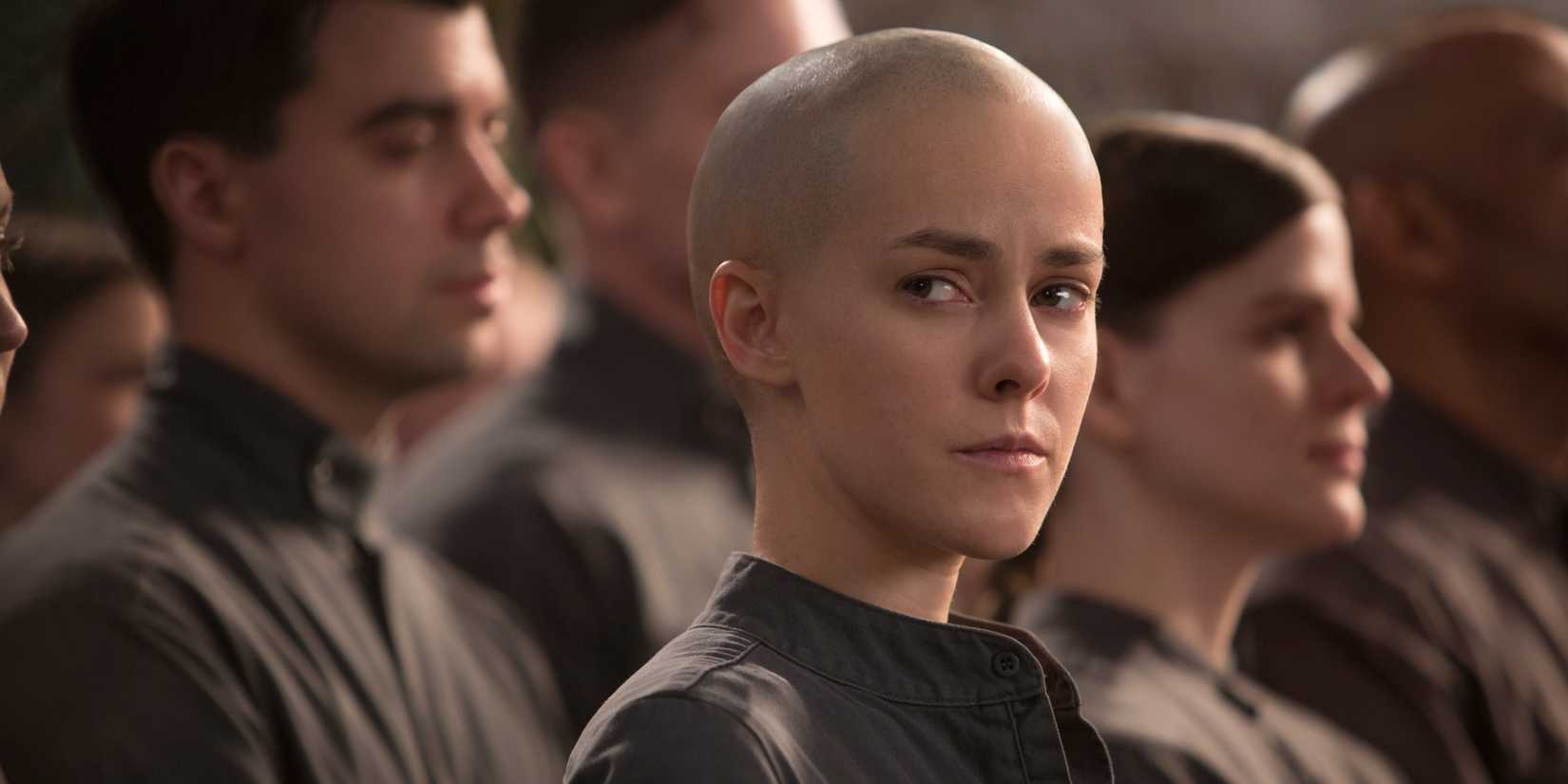 Every Hunger Games District's Industry, Explained