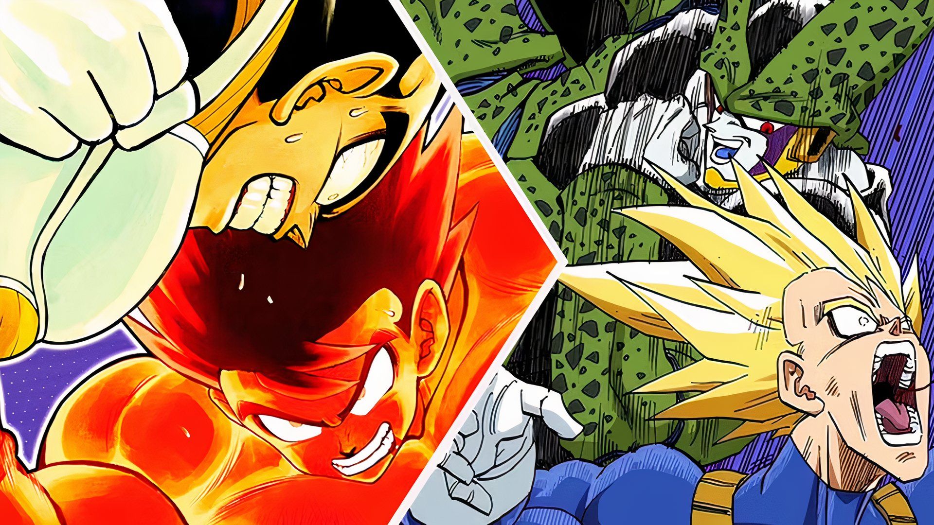 Vegeta's Most Important Fights in Dragon Ball Z