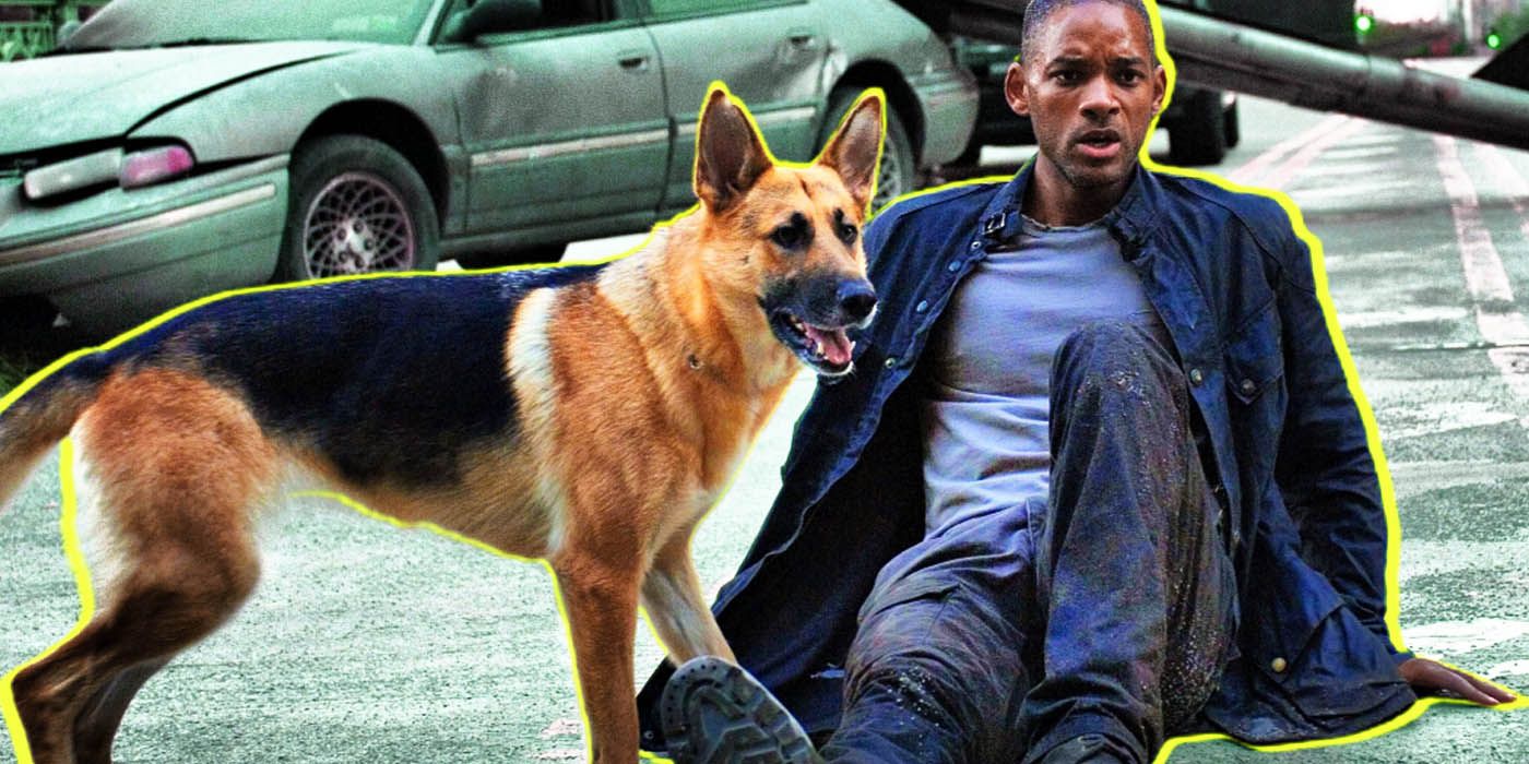 Will Smith Confirms He Tried to Adopt Canine Co-Star From I Am Legend