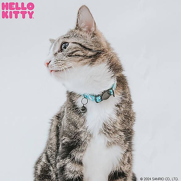 Kitty Cat Kitty Cat | Silver Bead Charm | Evolve Inspired Jewellery