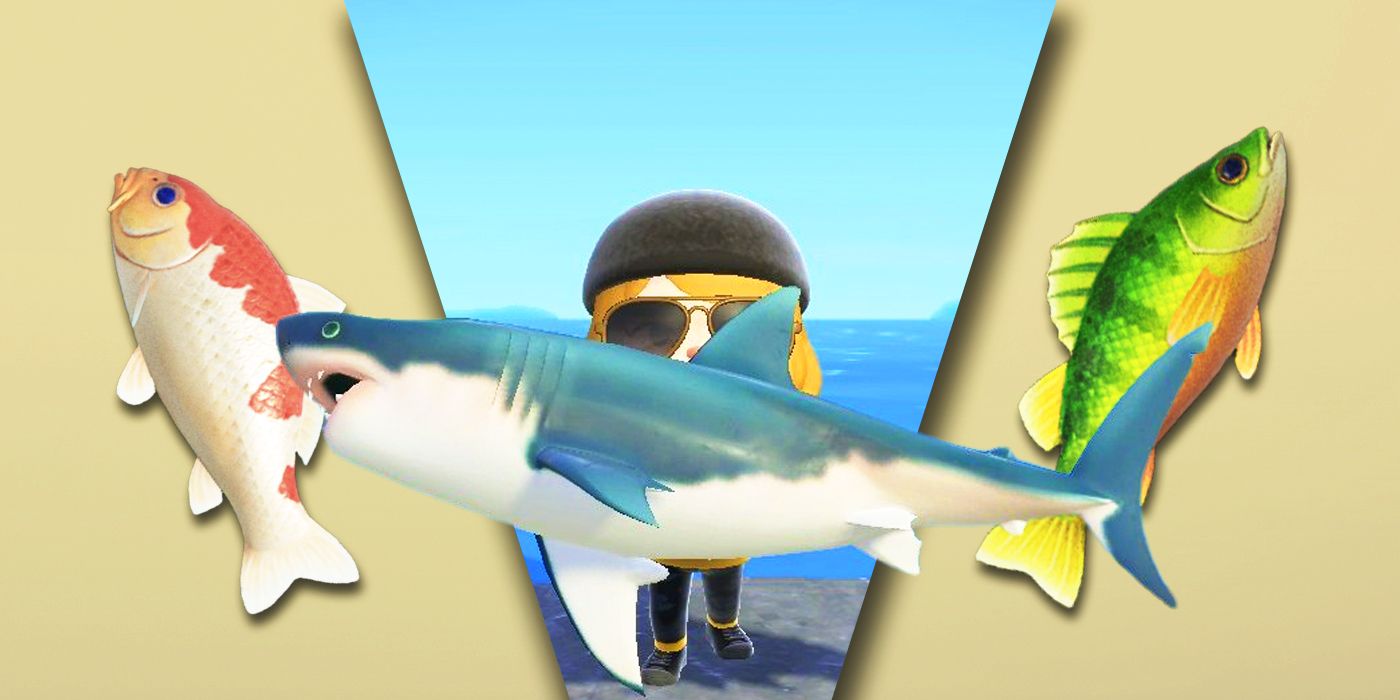 How to Catch All Fish in Animal Crossing New Horizons