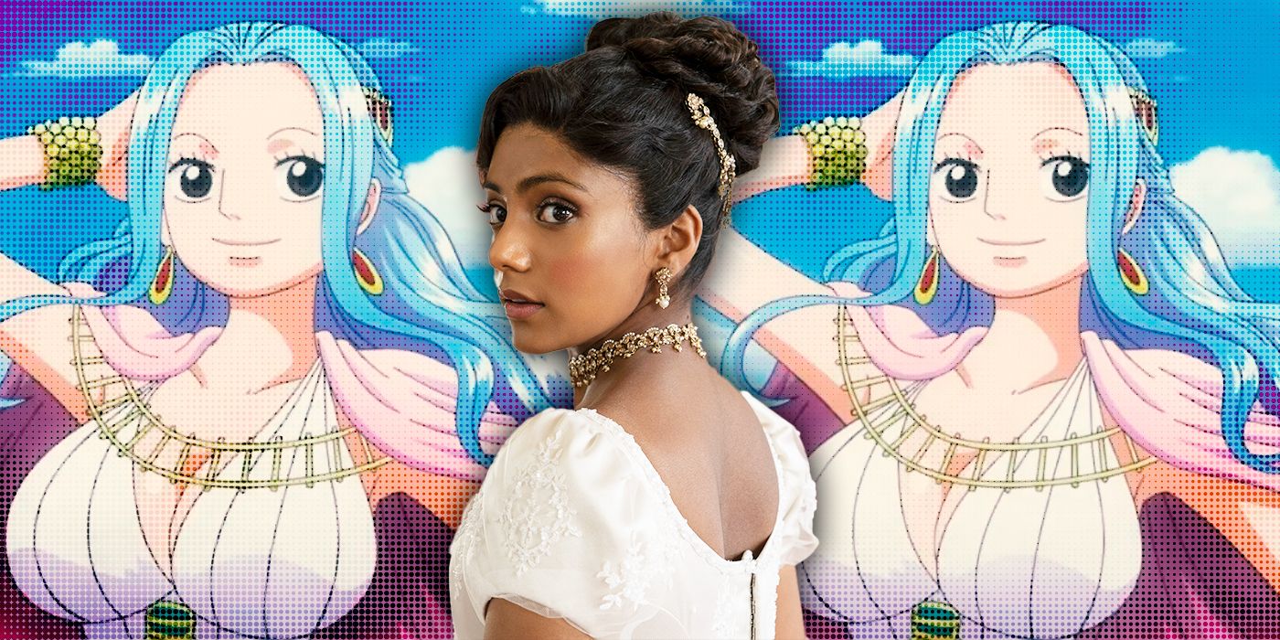 Every Race In One Piece Explained