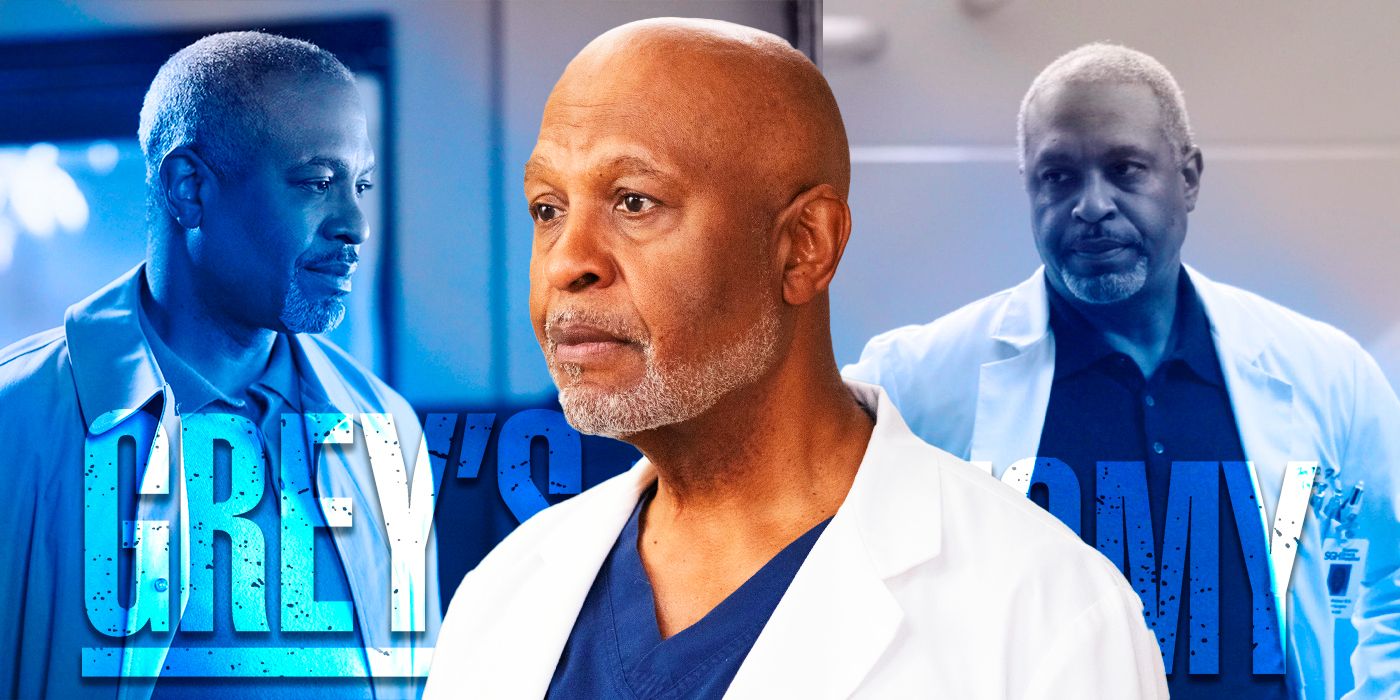 Grey's Anatomy Has Been Quietly Ruining Its Best Character